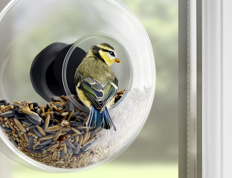 Buy Designer Bird Feeders and Boxes. Immediate Delivery– Dream Icons